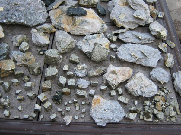 GemologyOnline.com • View topic - Standard - Glendon Pyrite Dig